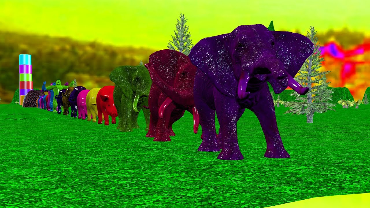 Paint Animals Game With Elephant Tiger Lion Cow Fountain crossing ...