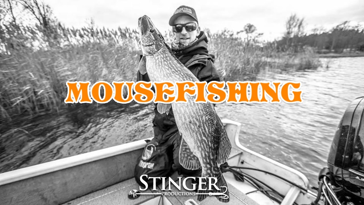 Mouse Fishing Official - YouTube