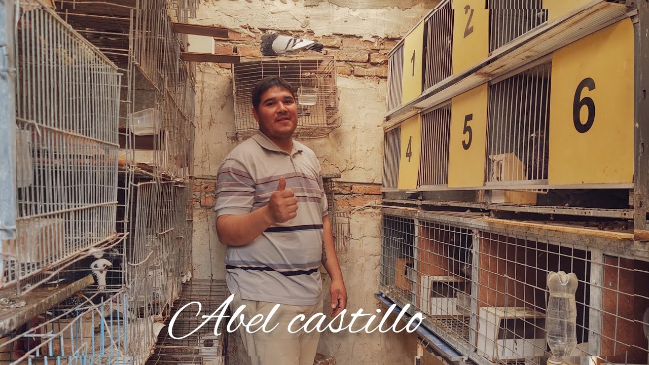 SEGUNDA PARTE !!!! de Abel Castillo. charlas ....y damos una muestra ...