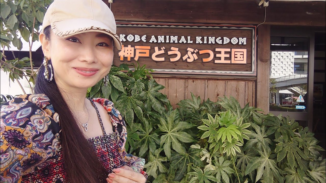 Kobe Animal Kingdom Must Visit In Kobe!! Best Zoo In Kobe!Penguin ...