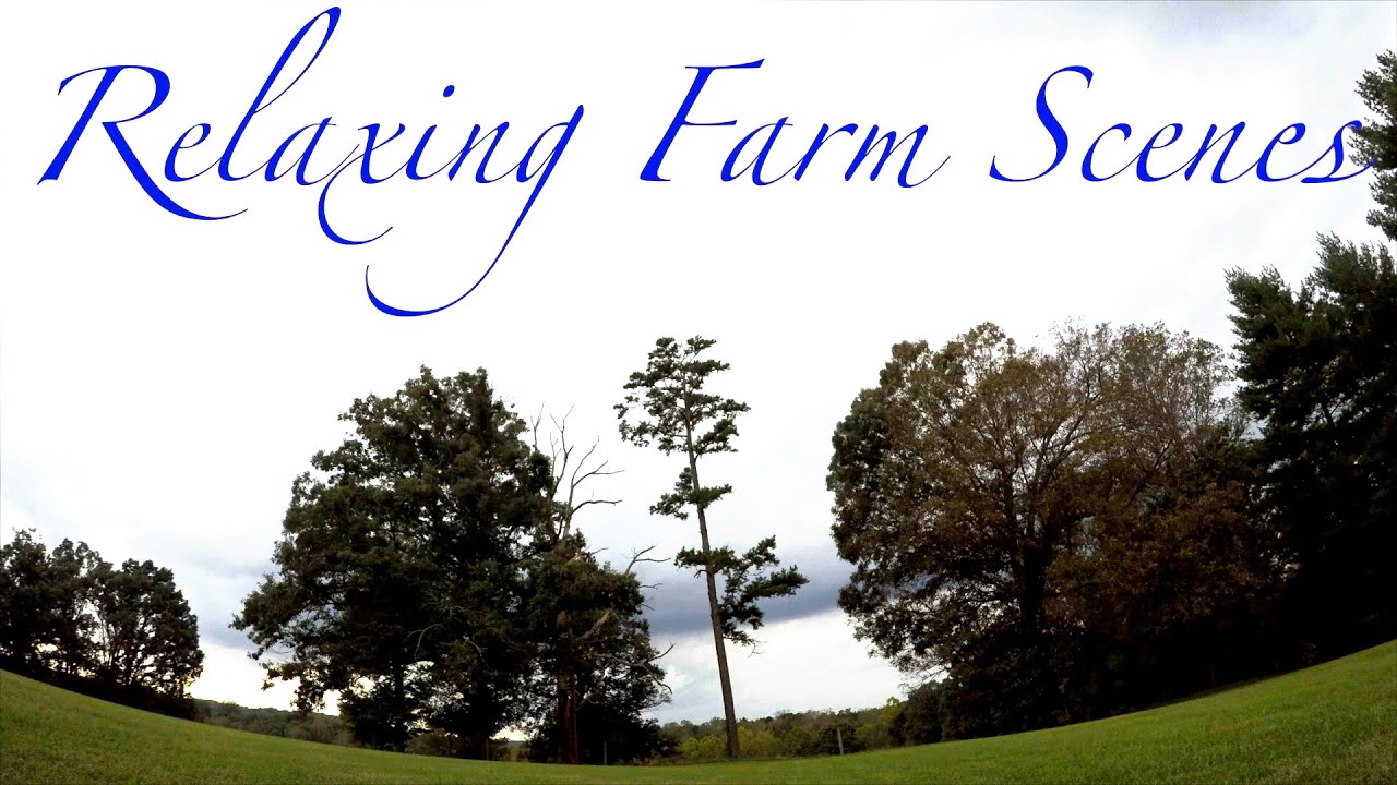 Relaxing Farm Scenes set to Classical music (time lapse and drone ...