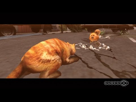 Tokyo Jungle - Dogs vs Cats Gameplay (PS3) - YouTube