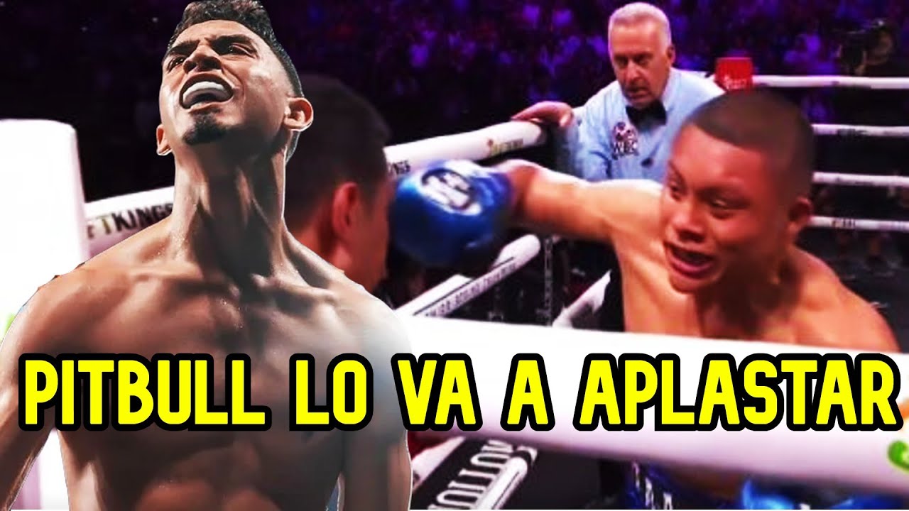 ¿POR QUÉ NO TIENE NINGUNA POSIBILIDAD DE GANARLE AL PITBULL JOSE RAYO ...
