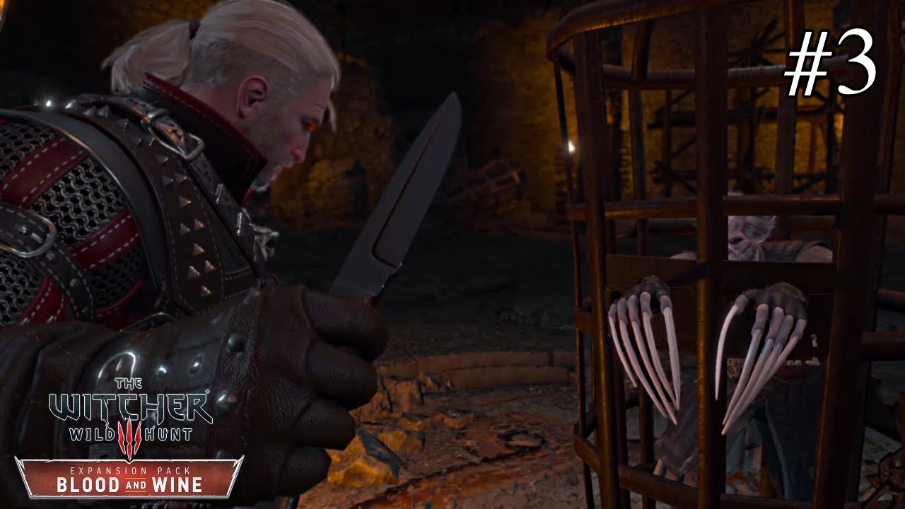 I Am A Vampire Hunter! | The Witcher 3 Blood And Wine #3 - YouTube
