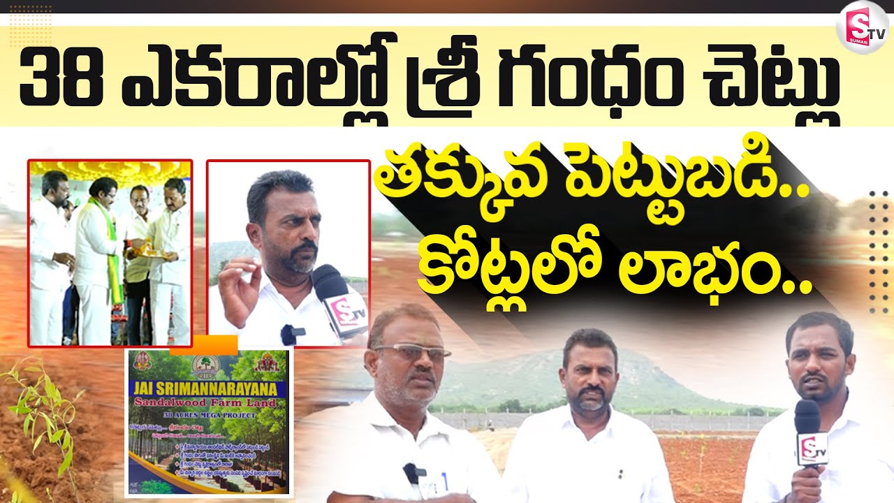 38 ఎకరాల్లో శ్రీగంధం చెట్లు | Sri Gandham Trees | Sandalwood Farm Land ...