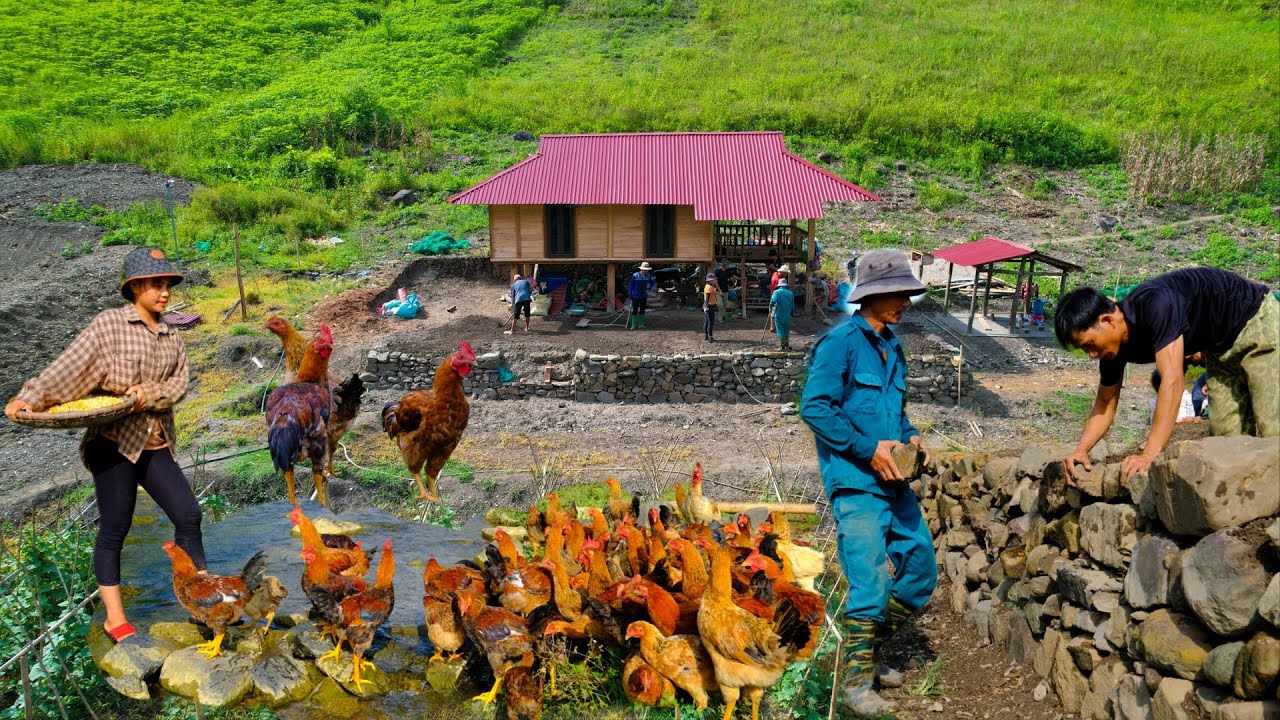 Building a new life EP 57 | Digging the foundation, putting stones to ...