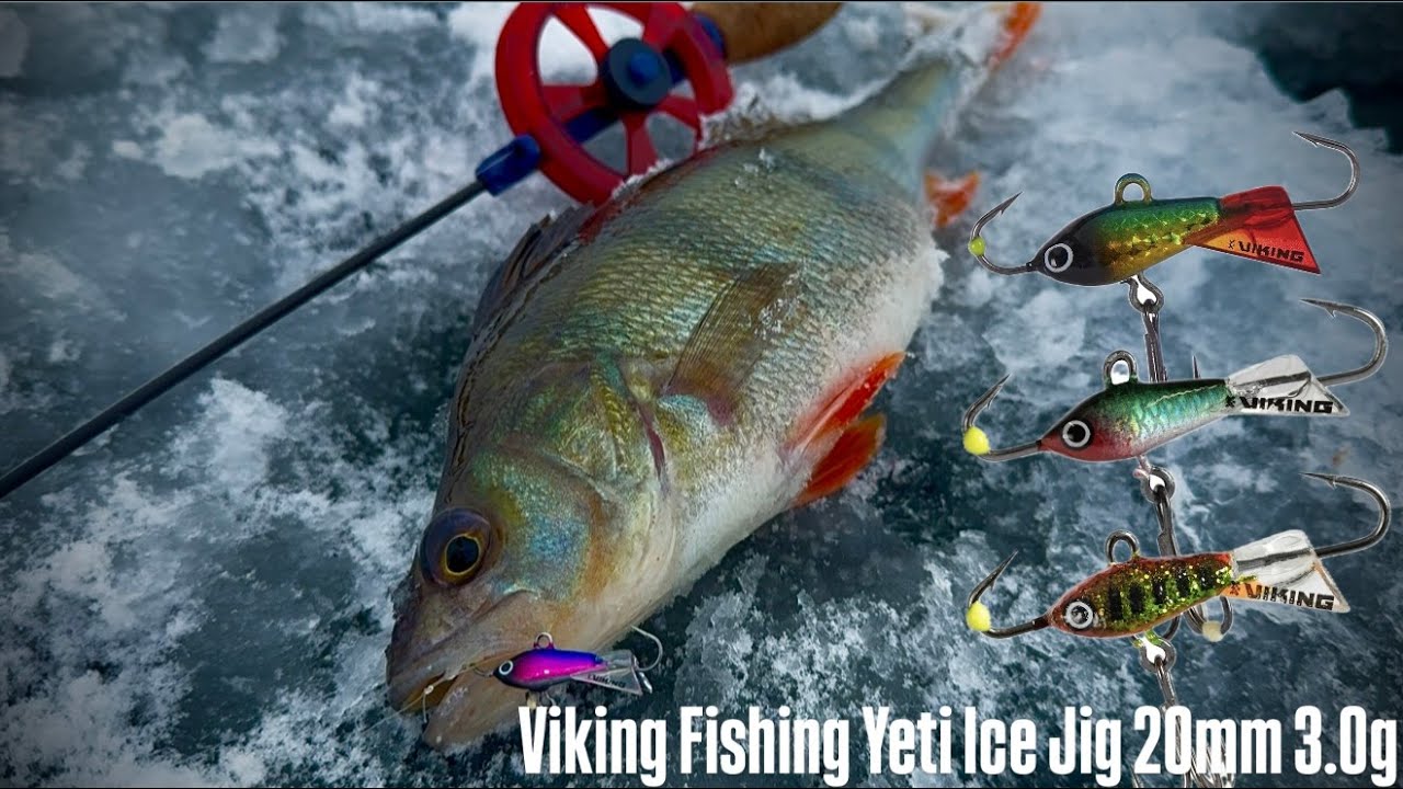 ЗИМА 2026|КРУПНИЙ ОКУНЬ НА БАЛАНСИР Viking Fishing Yeti Ice Jig 20mm 3 ...