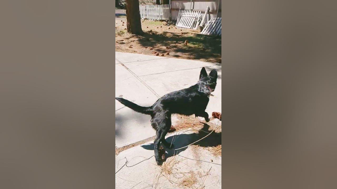 whereee da hec is mooooooom - YouTube