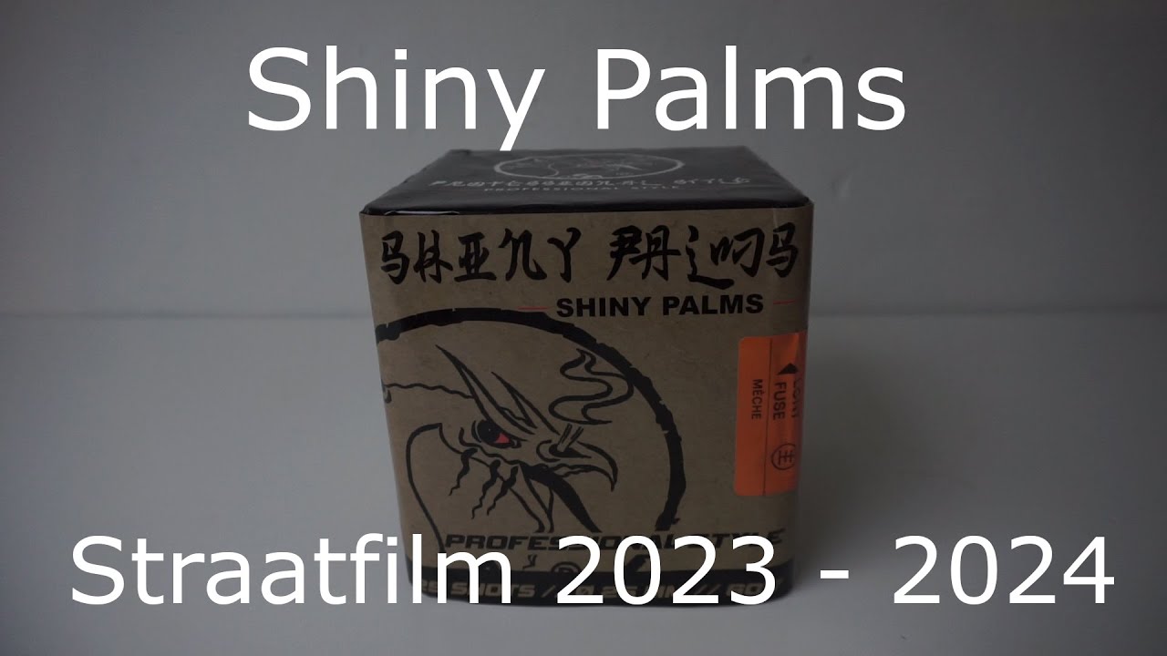 Shiny Palms | 2020 | Straatfilm 2023 - 2024 | GBV-WECO - YouTube