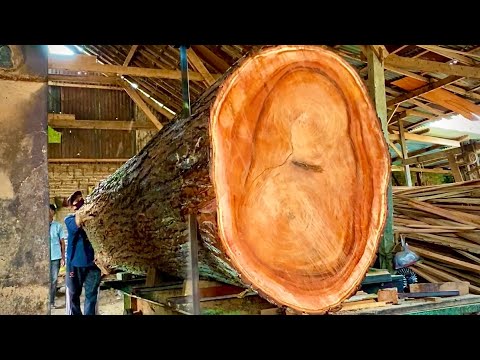Penggergajian kayu besar yang menakjubkan! Proses merubah kayu ini ...