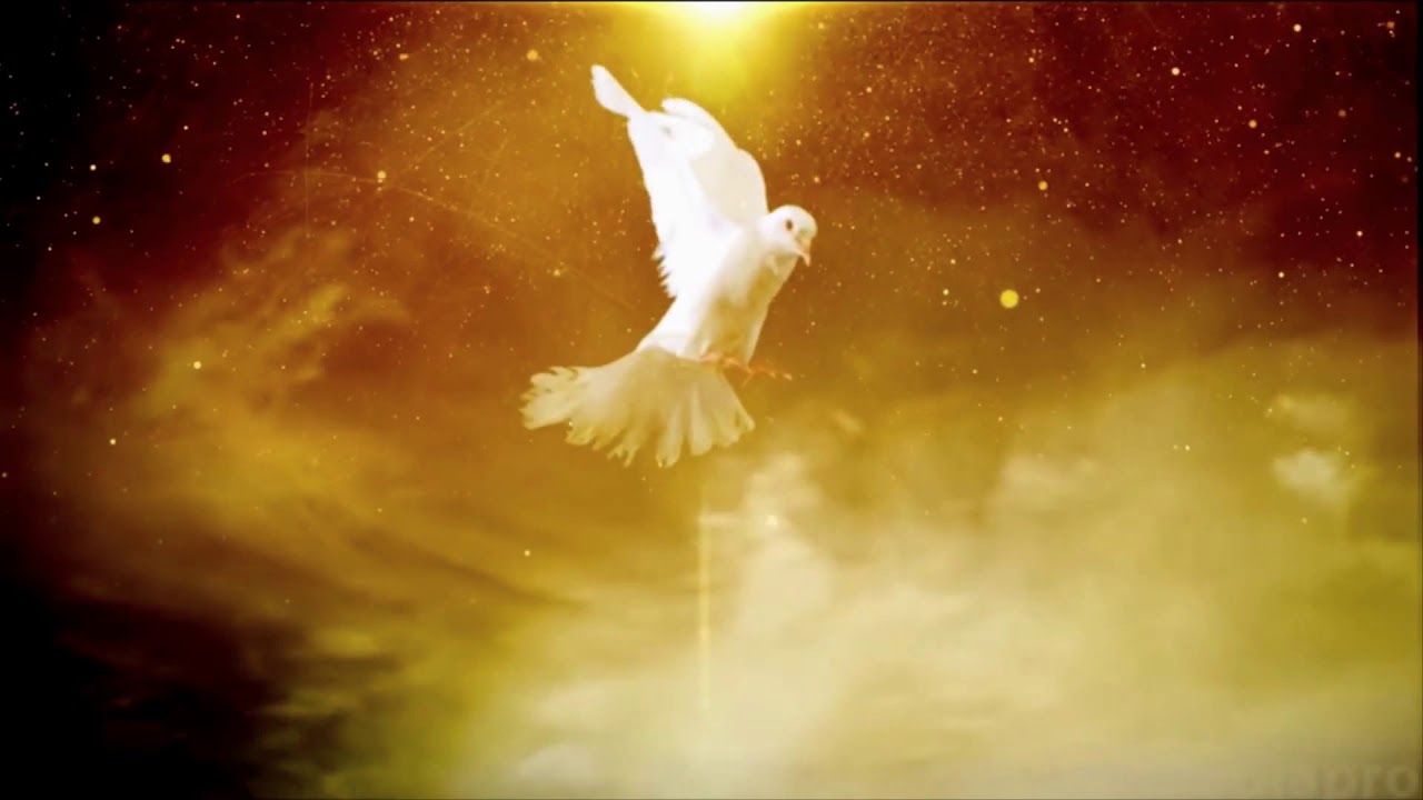 Psalm 104 Lord Send Out Your Spirit - YouTube