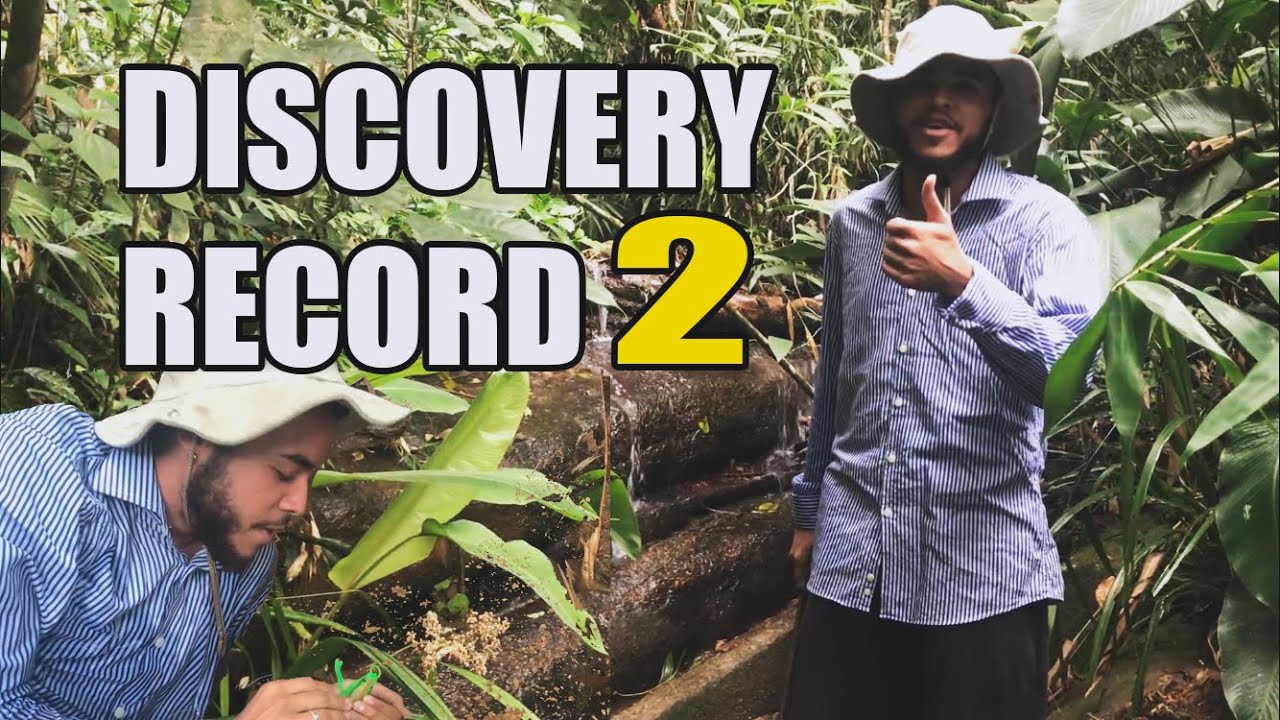 DISCOVERY RECORD pt 2 - YouTube