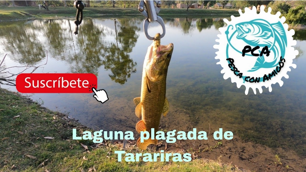 Increíble lugar para pescar Tarariras en Tucumán...no van a creer lo ...