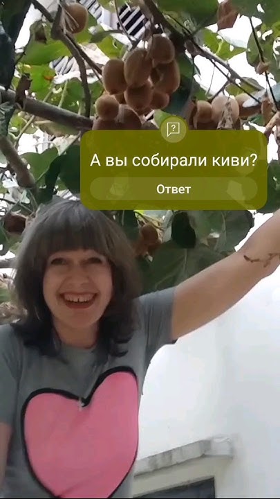 Собираю киви в Черногорииshorts Travelчерногорияприрода кивирадостьсчастьепутешествия