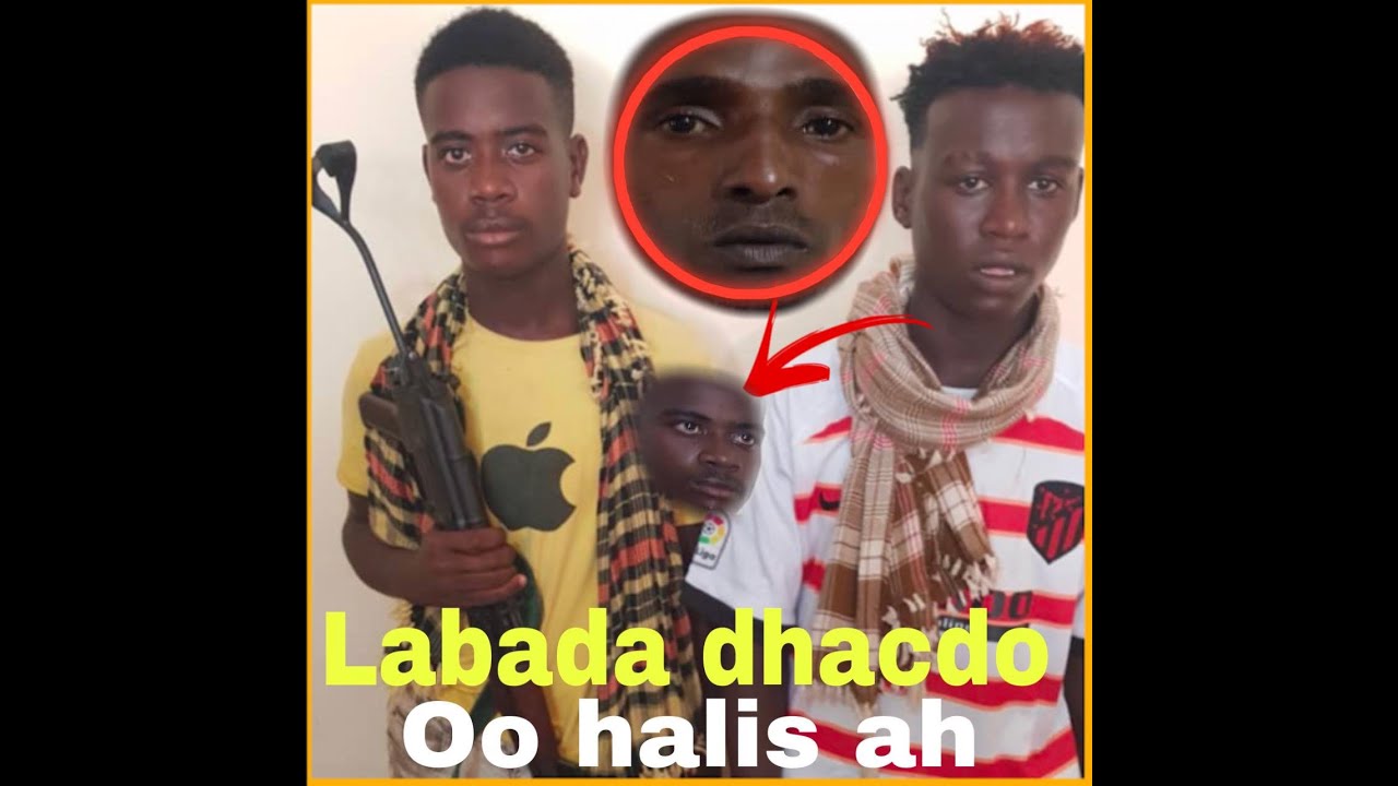 Labaa dhacdo oo halis ah" Saraakiil Hubkooda ka kireesato Ciyaal weero ...