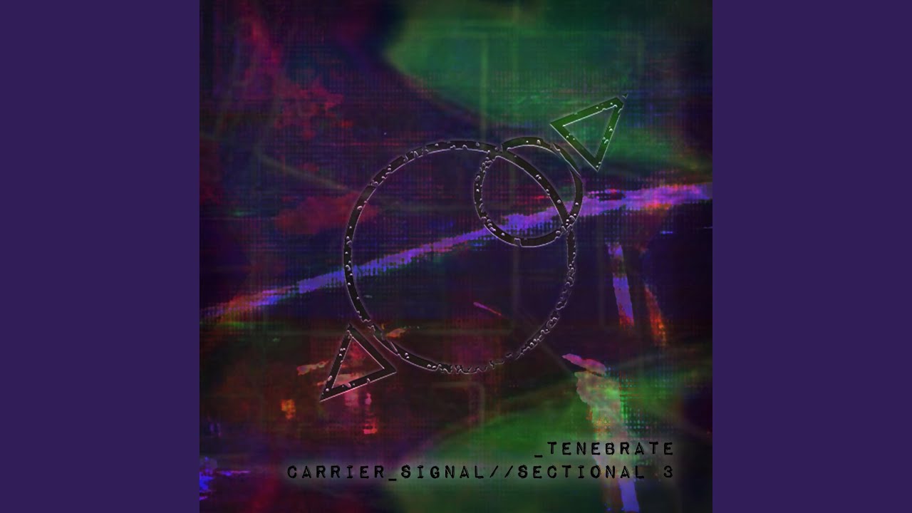 consensus reality filter - YouTube