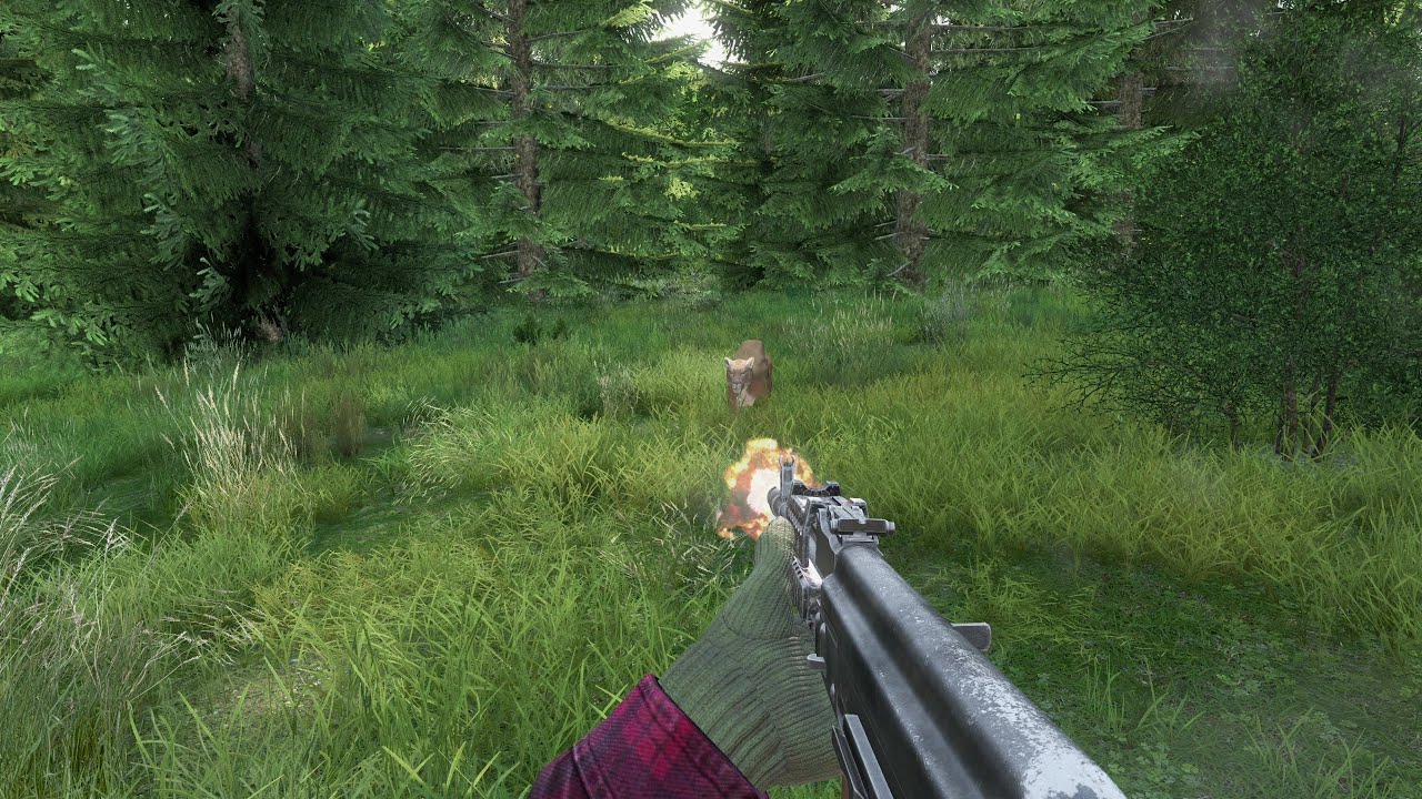 The Bunker Hunt Continues - PNW - YouTube