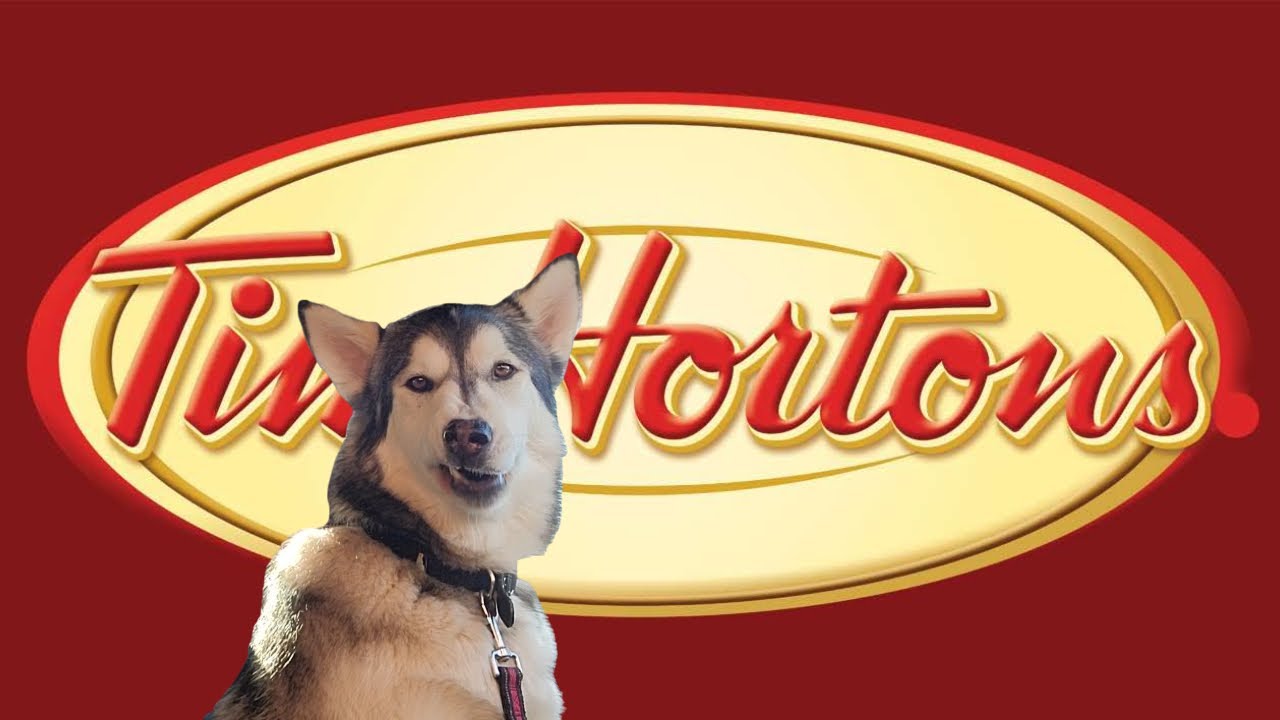 a QUIET TRIP to TIM HORTONS with 4 HUSKIES #dog #husky #timhortons ...