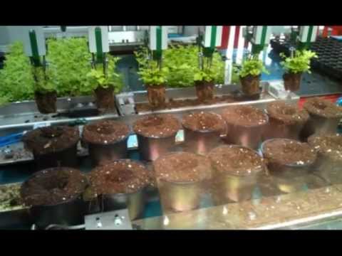 Da Ros 'Twin Line' Pot Transplanter. - YouTube