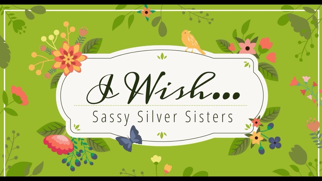 I WISH... conversation with Sassy Silver Sisters - YouTube