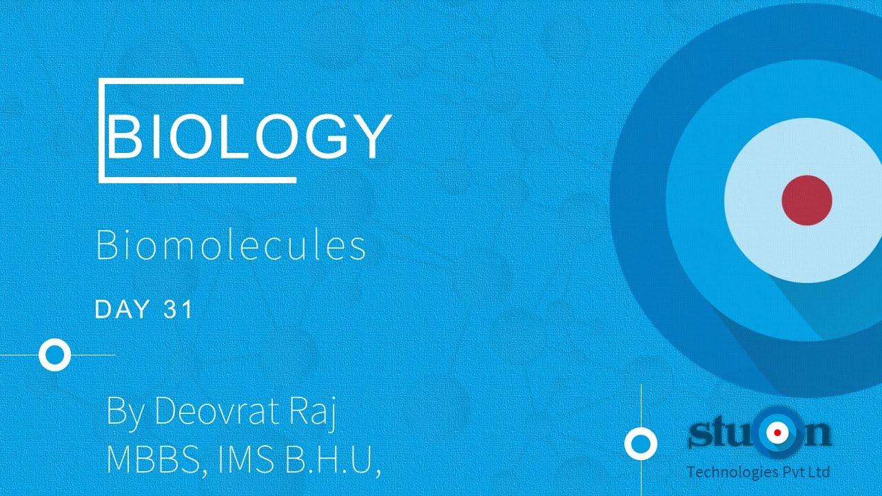 Day 31 Biomolecules How To Analyse Chemical Composition Bio day-31-biomolecules-how-to-analyse-chemical-composition-bio