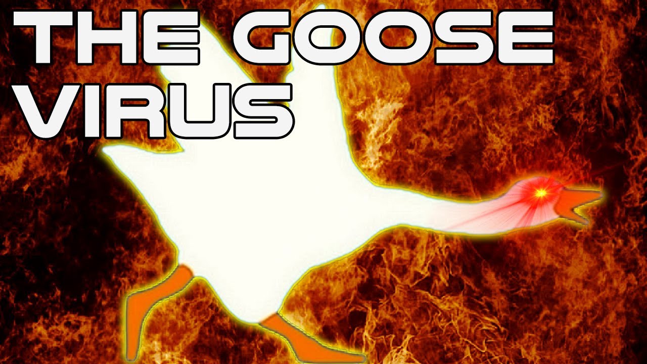 Desktop Goose - Funny little "virus" to derp around with - YouTube