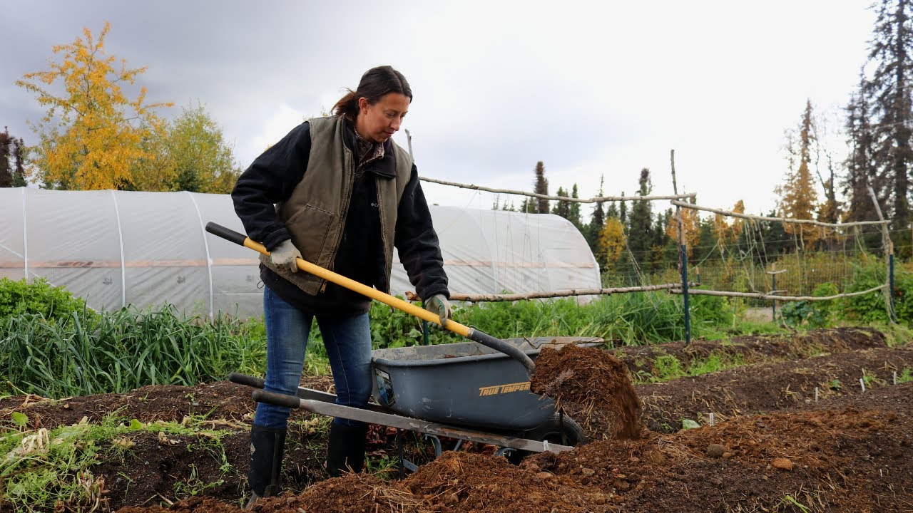 Grow, Forage & Cook | Food Is Life - YouTube