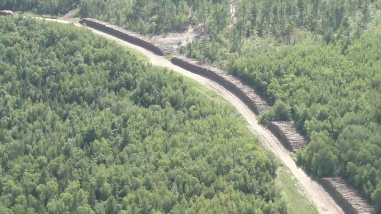 Woodland Pulp LLC introduction (11-minute video) - YouTube