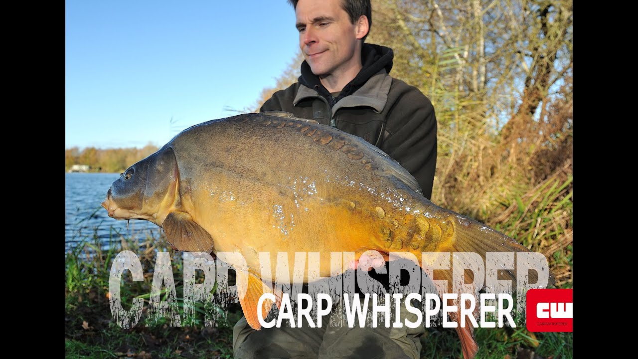 How to catch a carp in the winter? (part 2) #Carp Whisperer - YouTube
