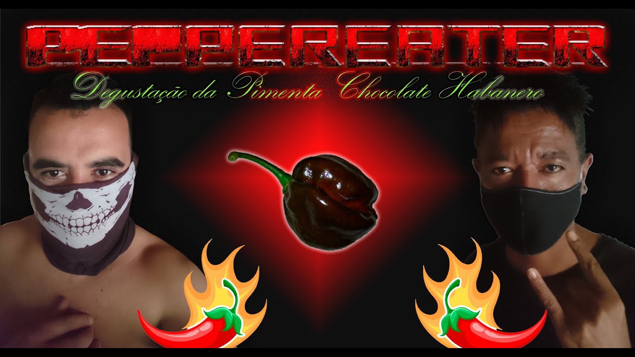 Degustação da pimenta Chocolate Habanero - YouTube