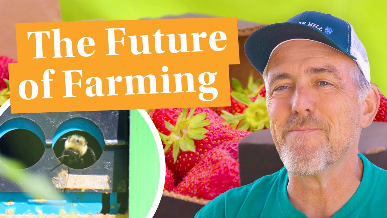 Sustainable Berry Farming | Berry Growers of Ontario - YouTube