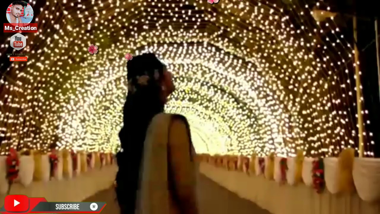 A Dil flower flower🌹🌹 WhatsApp love status - YouTube