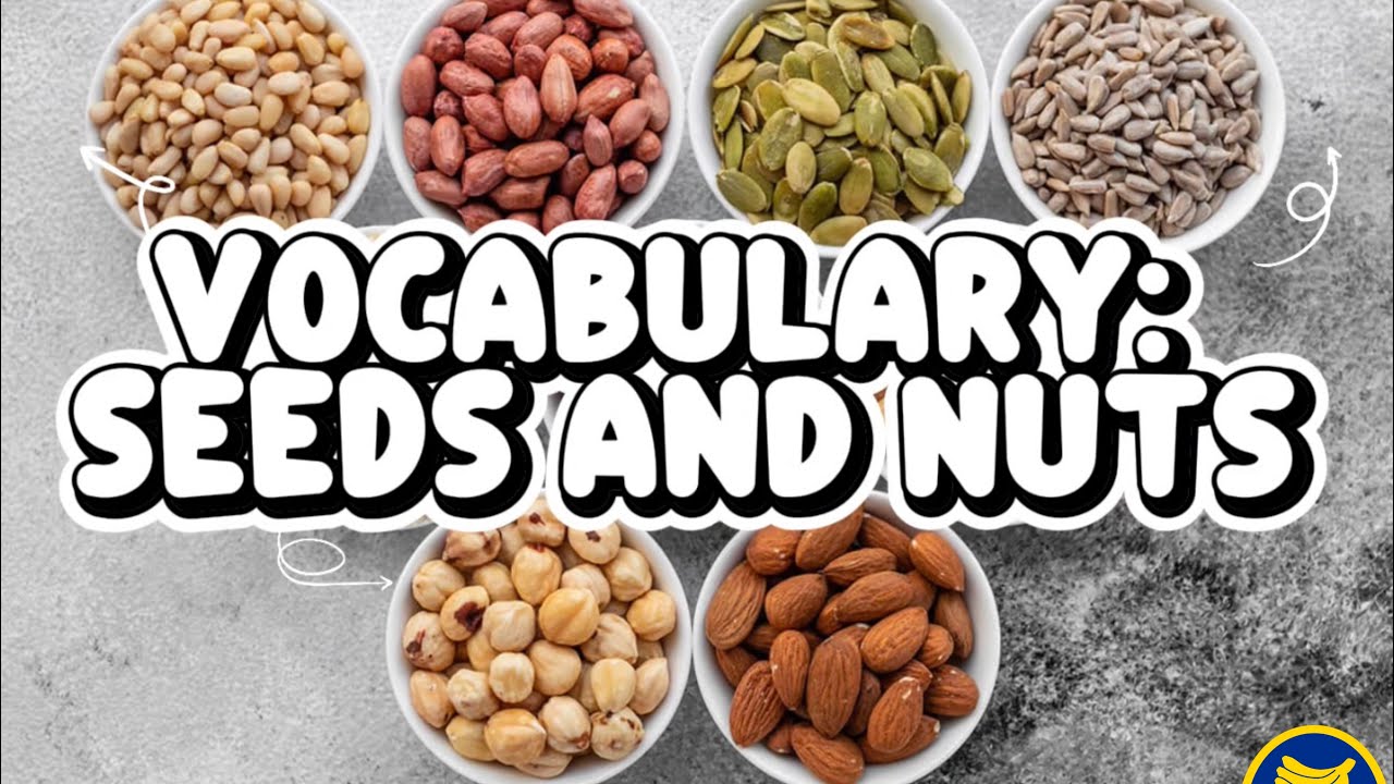 Review vocabulary about Seeds and Nuts in 1 minute. Do you remember ...