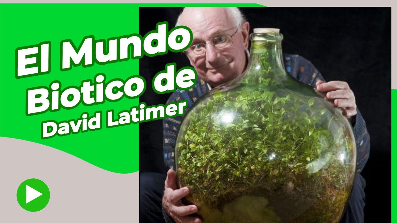 El Mundo Biotico de David Latimer - YouTube