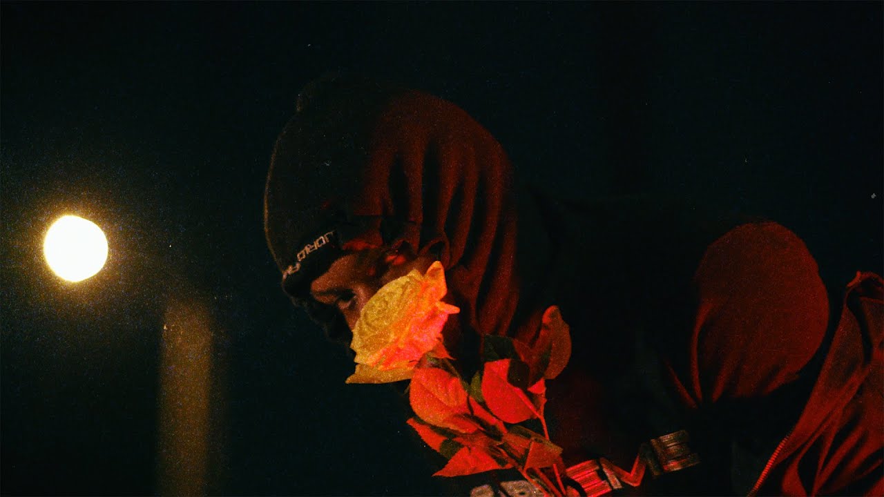 POLLARI - DO YOU LOVE ME? (official video) - YouTube