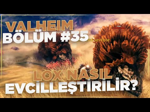 Valheim Türkçe #35 | Lox Evcilleştirme Rehberi