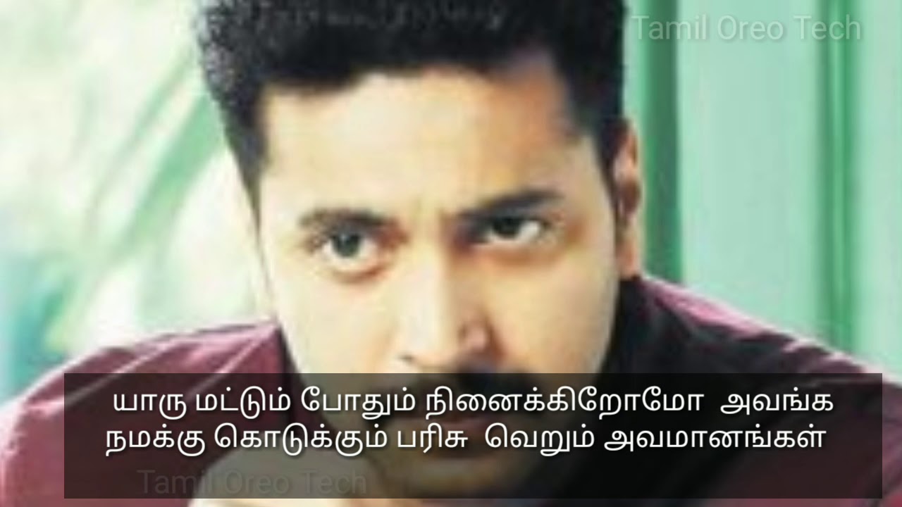 Insult WhatsApp status video - YouTube
