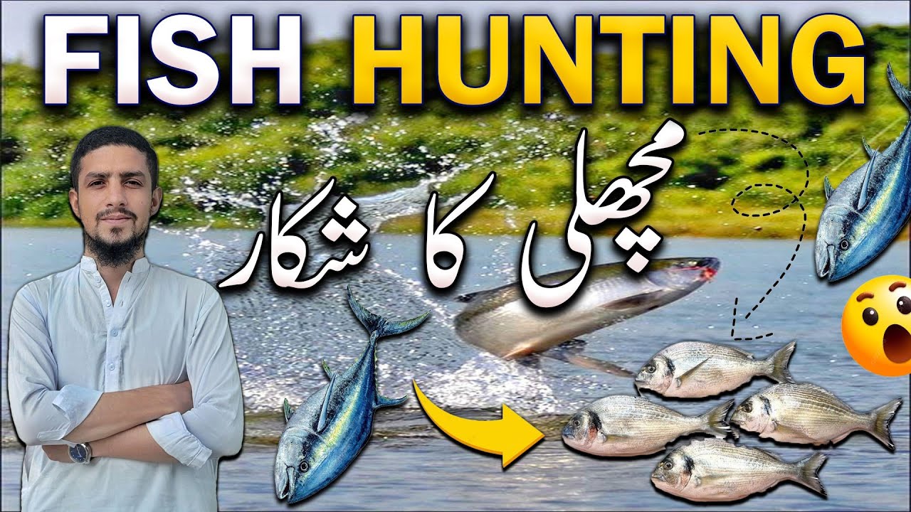 Catching Big Fishes 😳 Unbelievable types of Fish 🐠 Fish Hunting Video ...