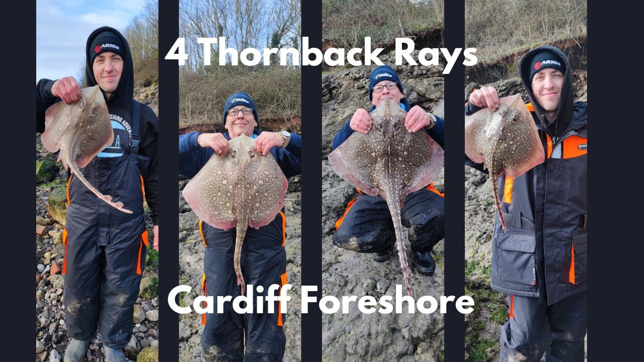 Wow A Session To Remember For February Sea Fishing Uk (RAYS) Cardiff ...