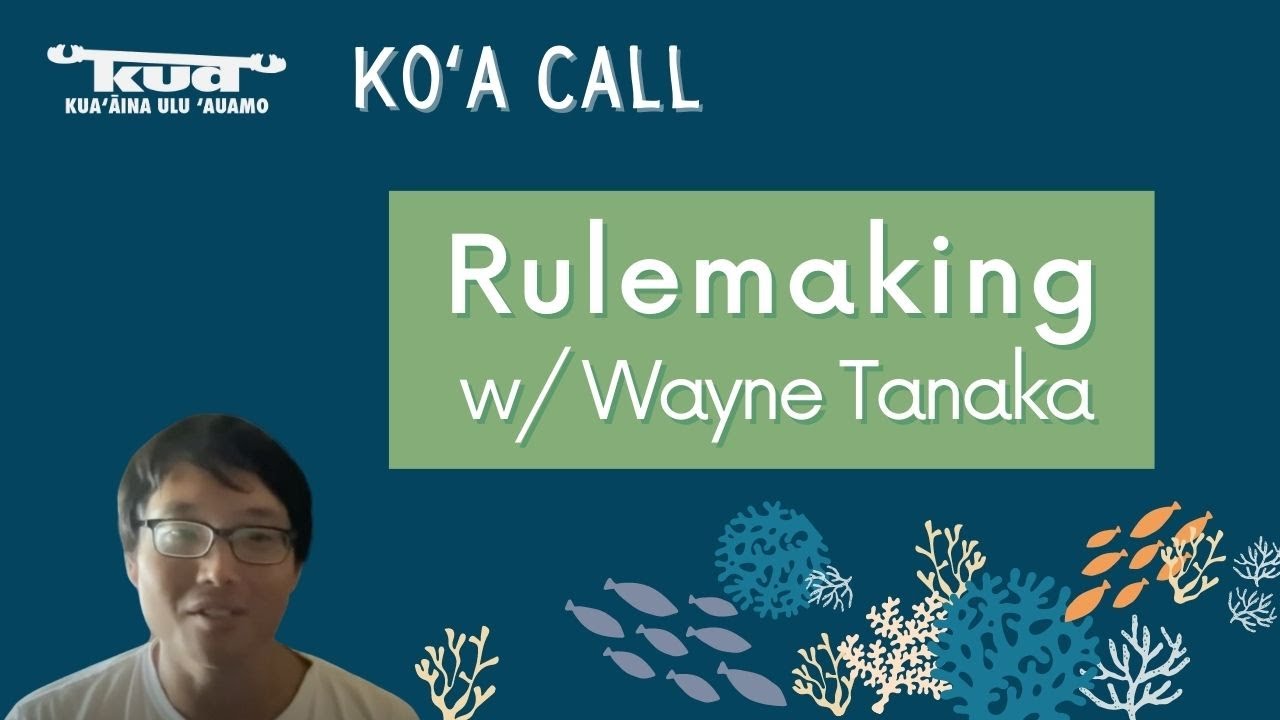 Rulemaking with Wayne Tanaka - YouTube