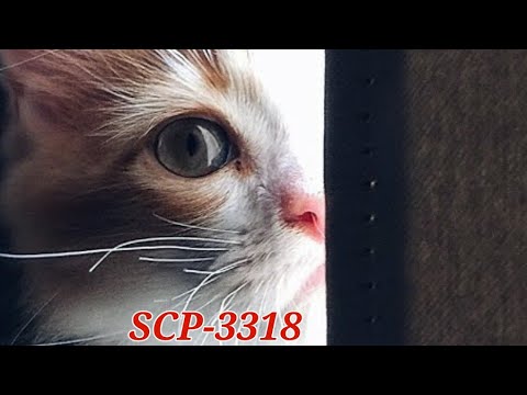 Chronique SCP #32 : SCP-3318 : POUVEZ-VOUS ME VOIR - YouTube