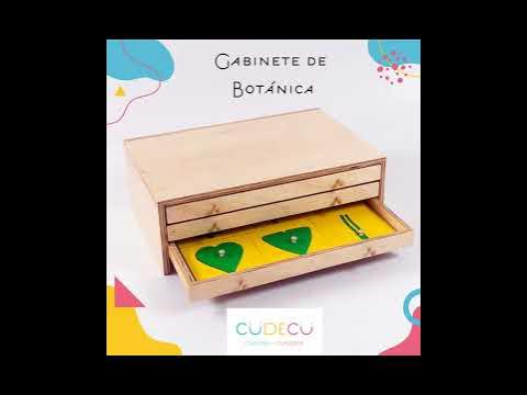 Gabinete de Botánica Montessori - YouTube