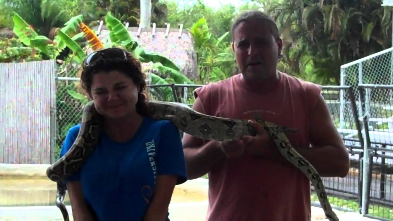 Everglades Snake Show - YouTube