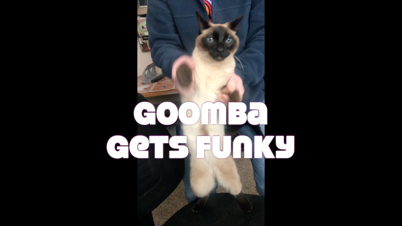 Dancing Goomba - YouTube