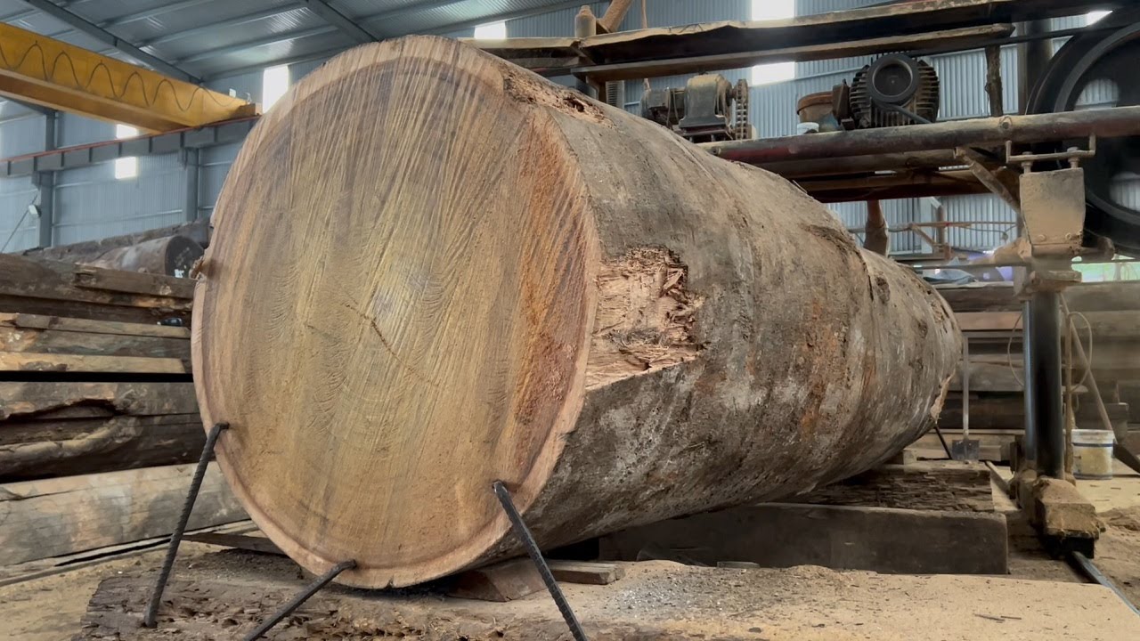 Wood Processing Factory Modern Technology | Fastest Large Wood Sawmill ...