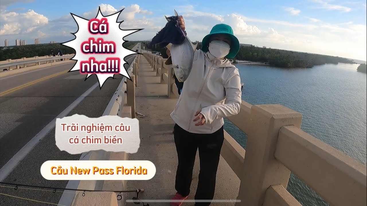 Câu cá chim biển. Nữ cần thủ kéo ca chim siêu to|Pompano fish|Florida ...