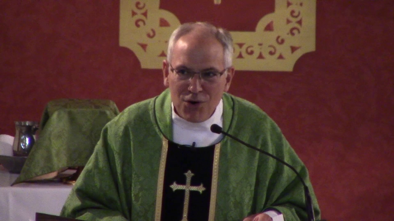 Seventh Sunday in Ordinary Time (Year A) - Fr. Hahn - YouTube