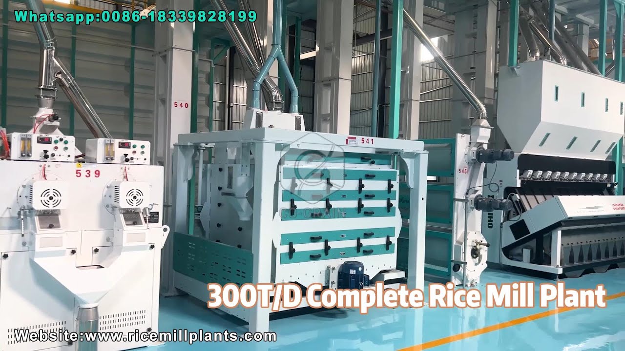 300T/D Modern Rice Processing Plant Supplier-Co-Grain Rice Mill - YouTube