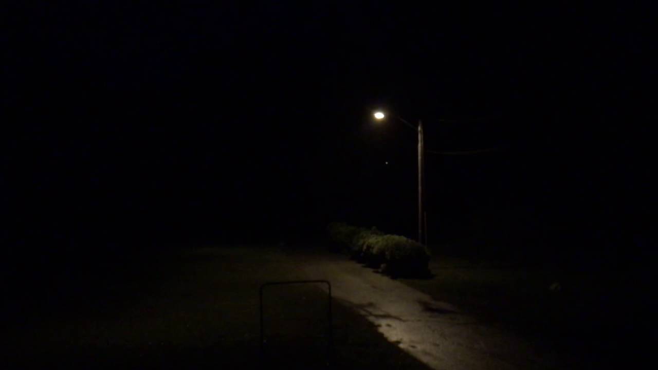 Weird alien sounds coming from the woods - YouTube