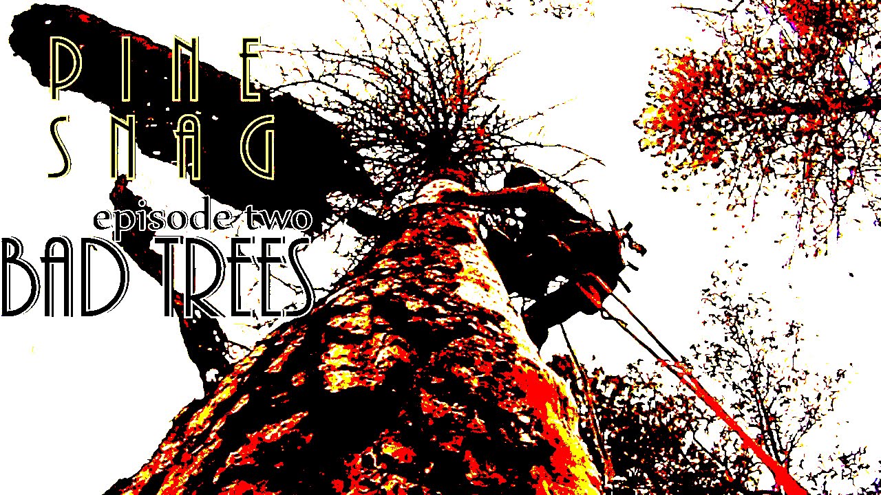 Bad Trees 2 -Pine Snag- - YouTube